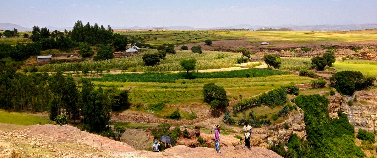 Accelerating Sustainable Landscape Management through Agroforestry | by ...