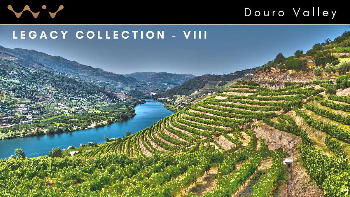 Douro Valley. A safe harbour for delectable ports. | by Graeme Brandham ...