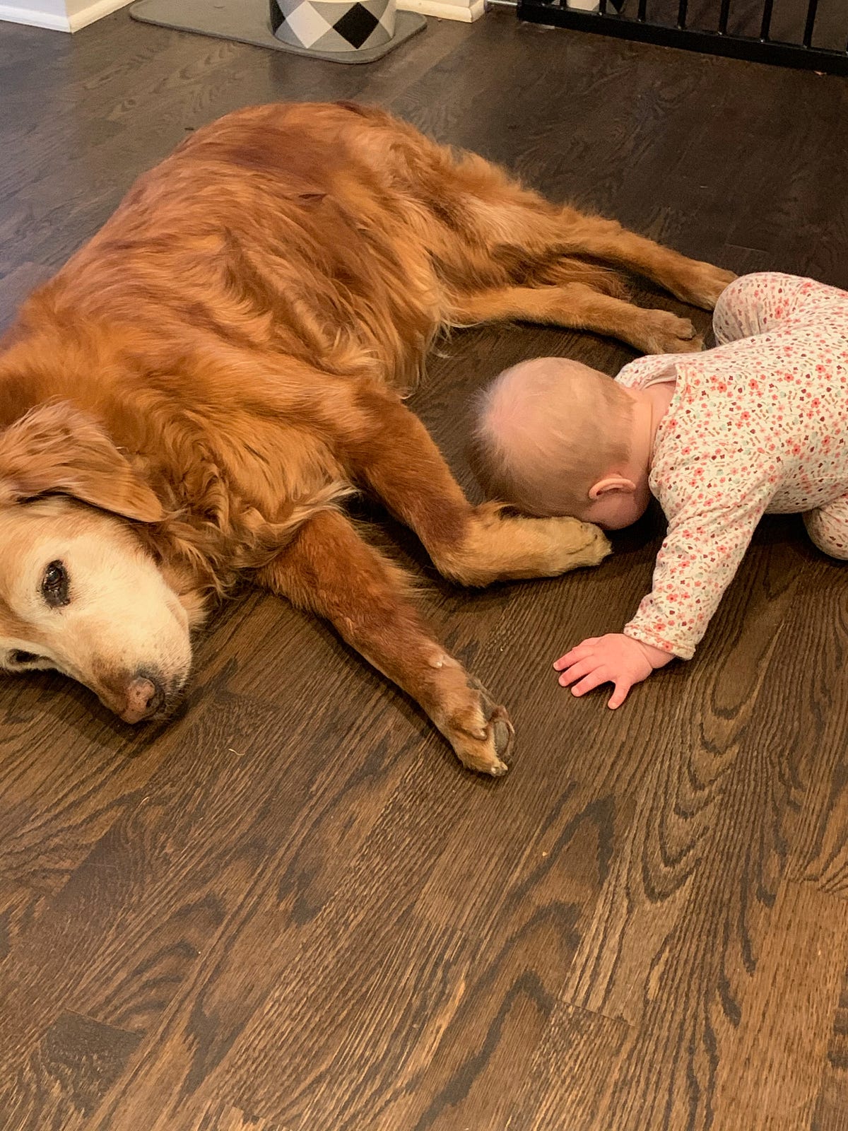 For Those Contemplating Parenthood | by Eric Forseth | Modern Parent ...