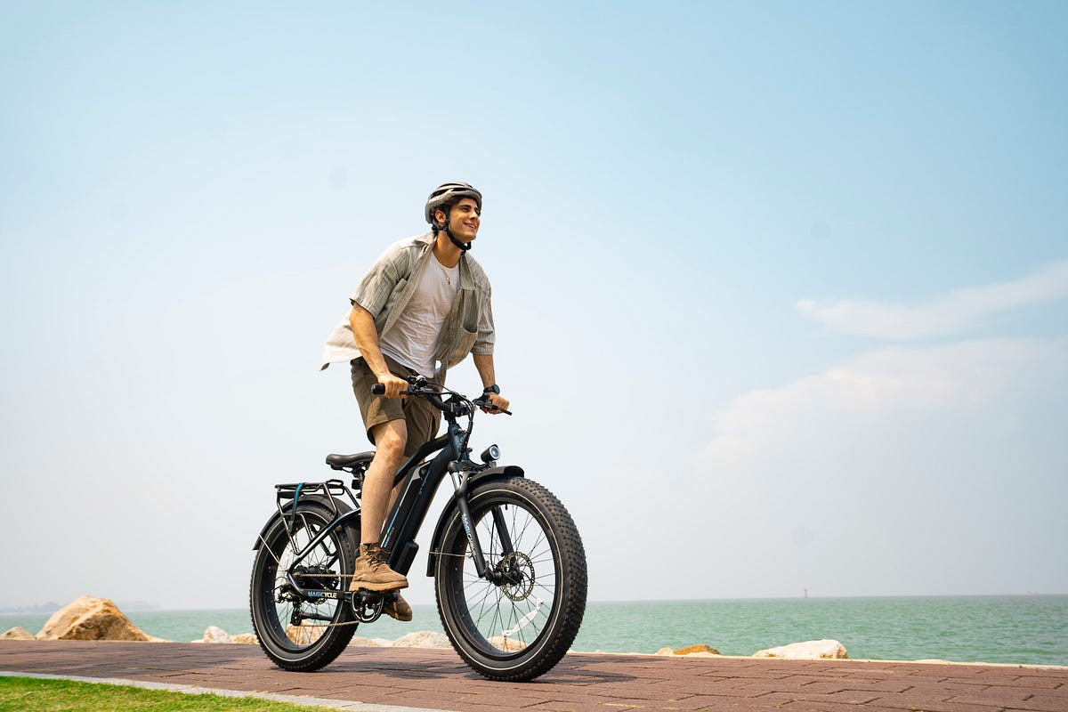 Top Electric Bikes of 2023: A Comprehensive Guide to the Best E-Bikes ...