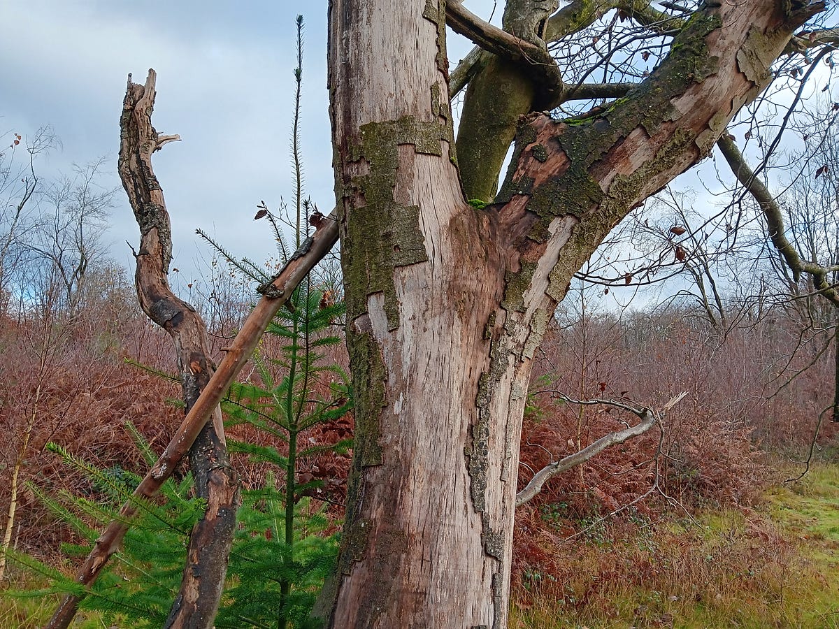 AI Scares Me. Like… A LOT! | by Exaitus | Medium