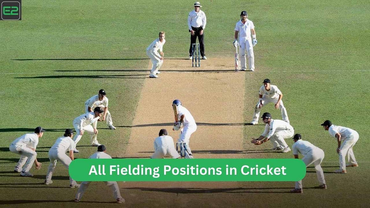 Understanding Cricket Fielding Positions: Key Roles and ...