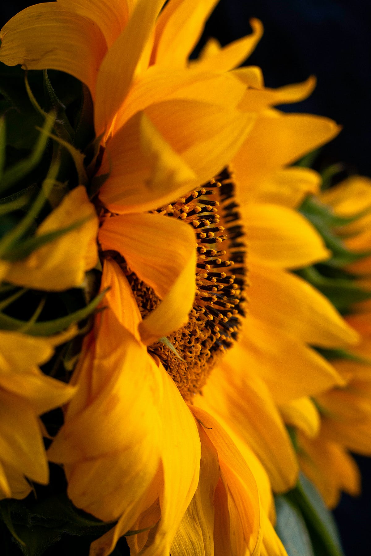 Nature of Life - Markita Wright - Medium