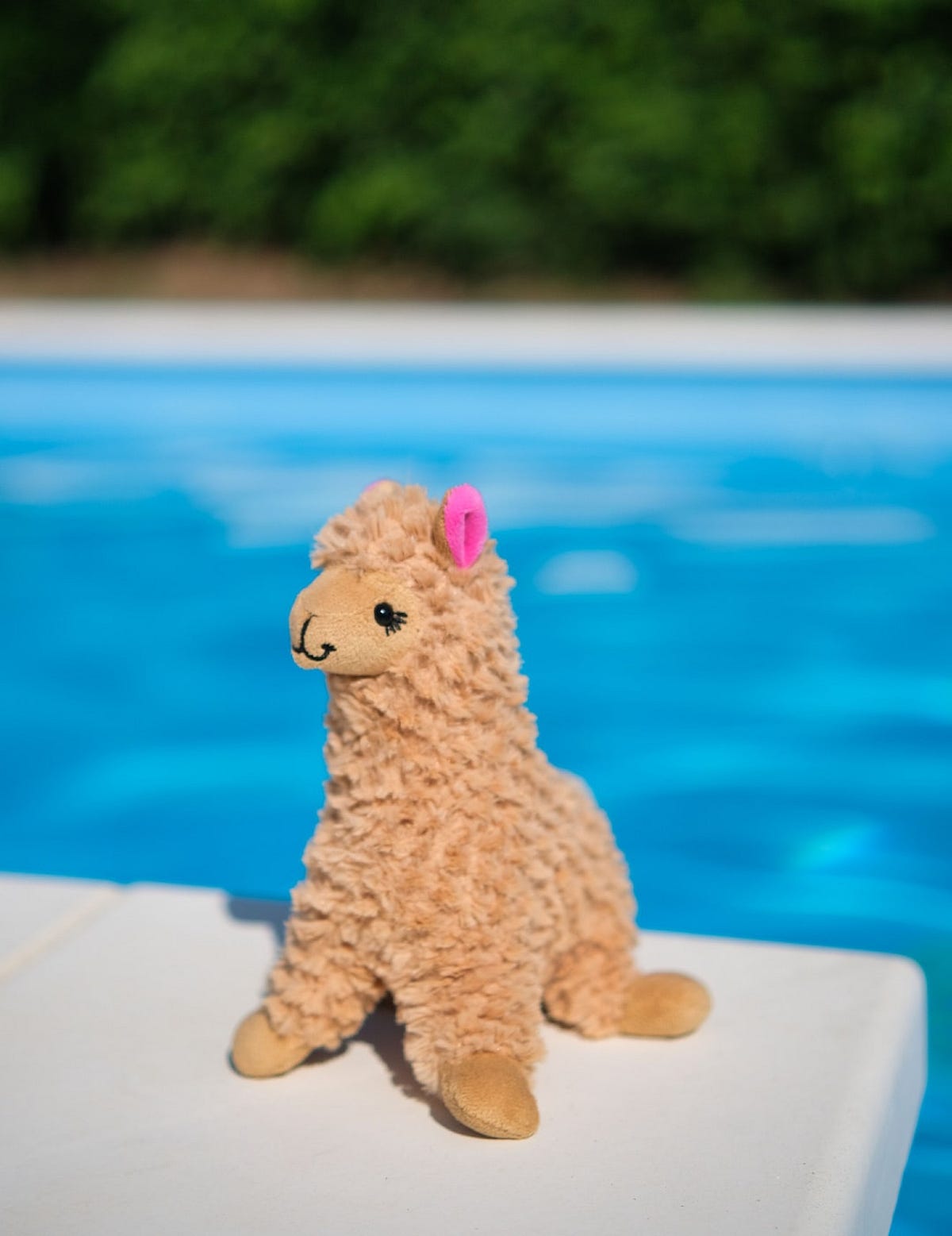 Introducing Llama 2: Unveiling Meta’s Groundbreaking Open-Source LLM | by Tales Matos | Medium