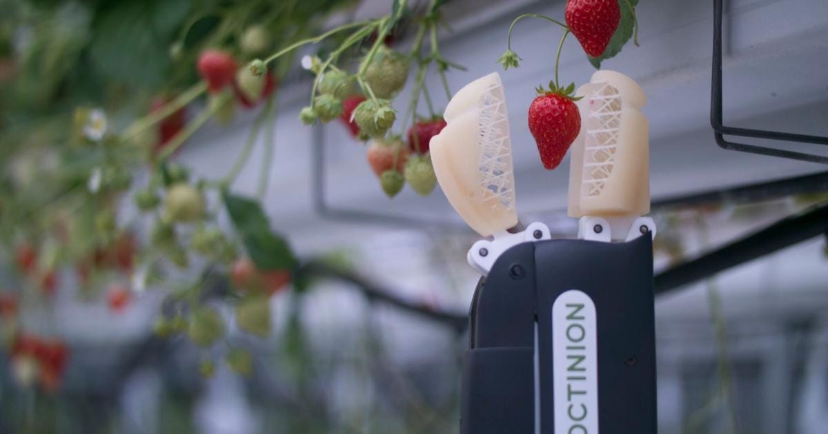 Why the Robot Industry Is So Focused On Single-Task Robots | by Tim ...