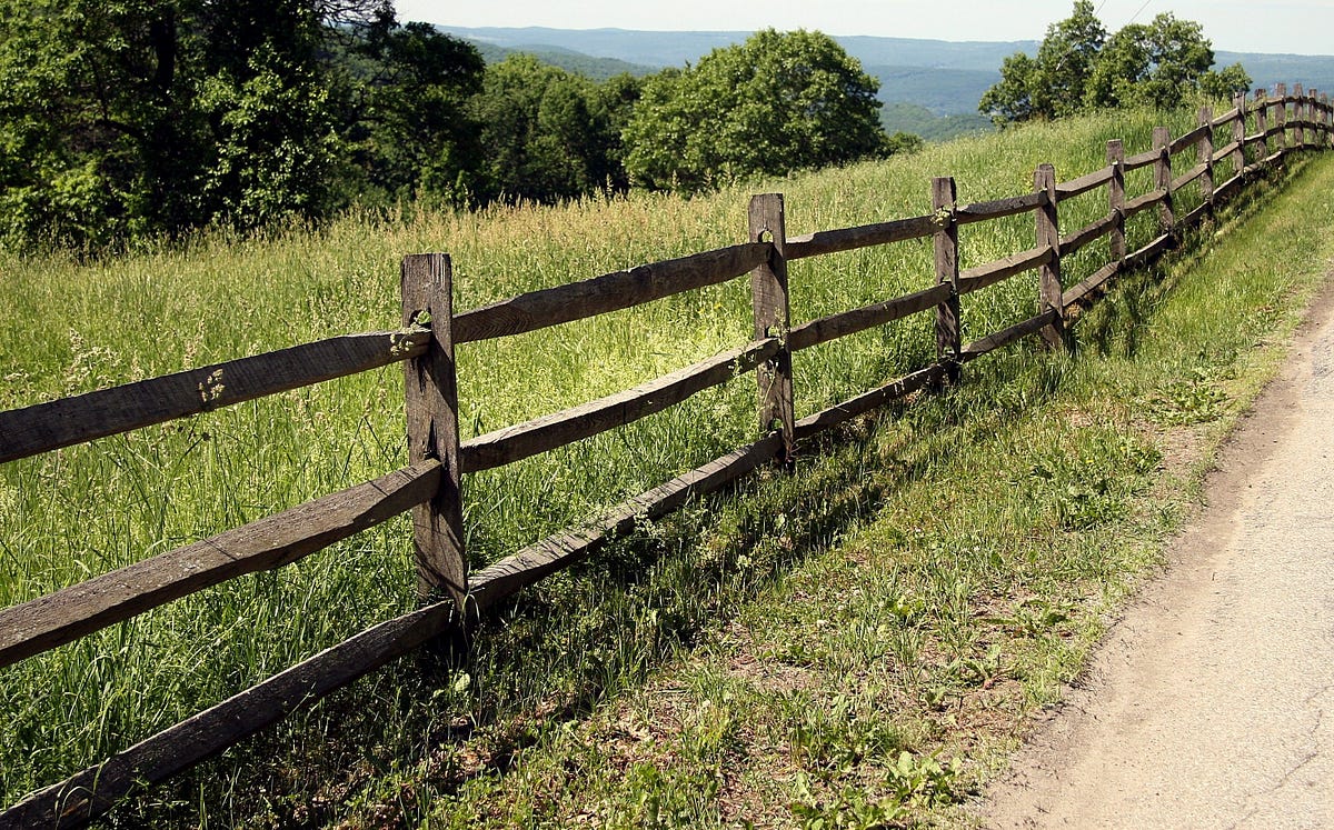 Martha Louise Collum — Murder? Or Accident? | by Faye Collum Fairley ...