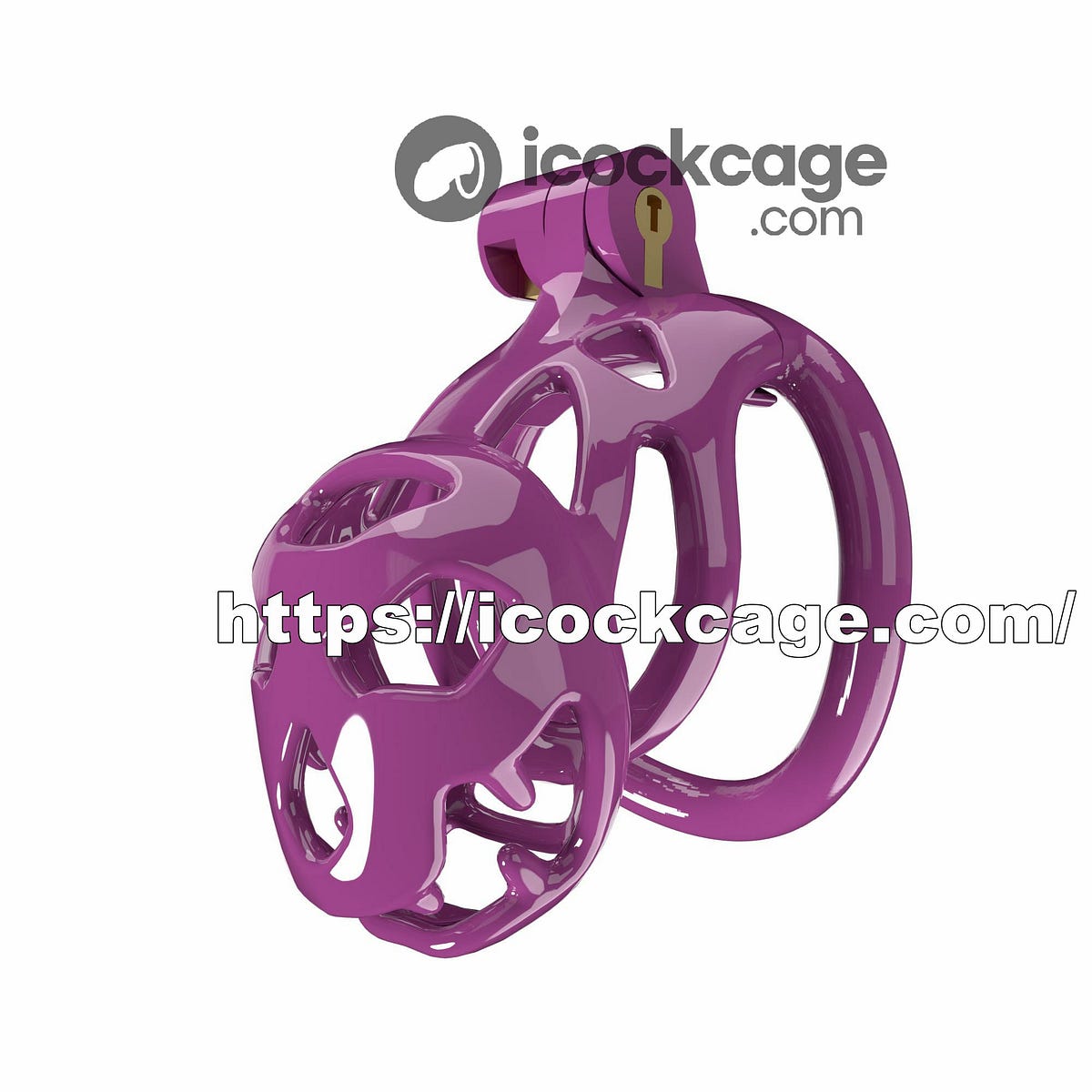 # The Symbolic Meaning of Chastity: From the Virtue Arch to the Modern ...