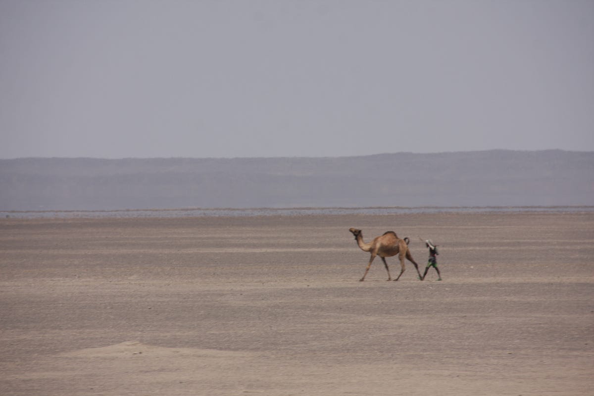 Ethiopia’s Remote Afar Region: an Ancient Way of Life Continues in a ...