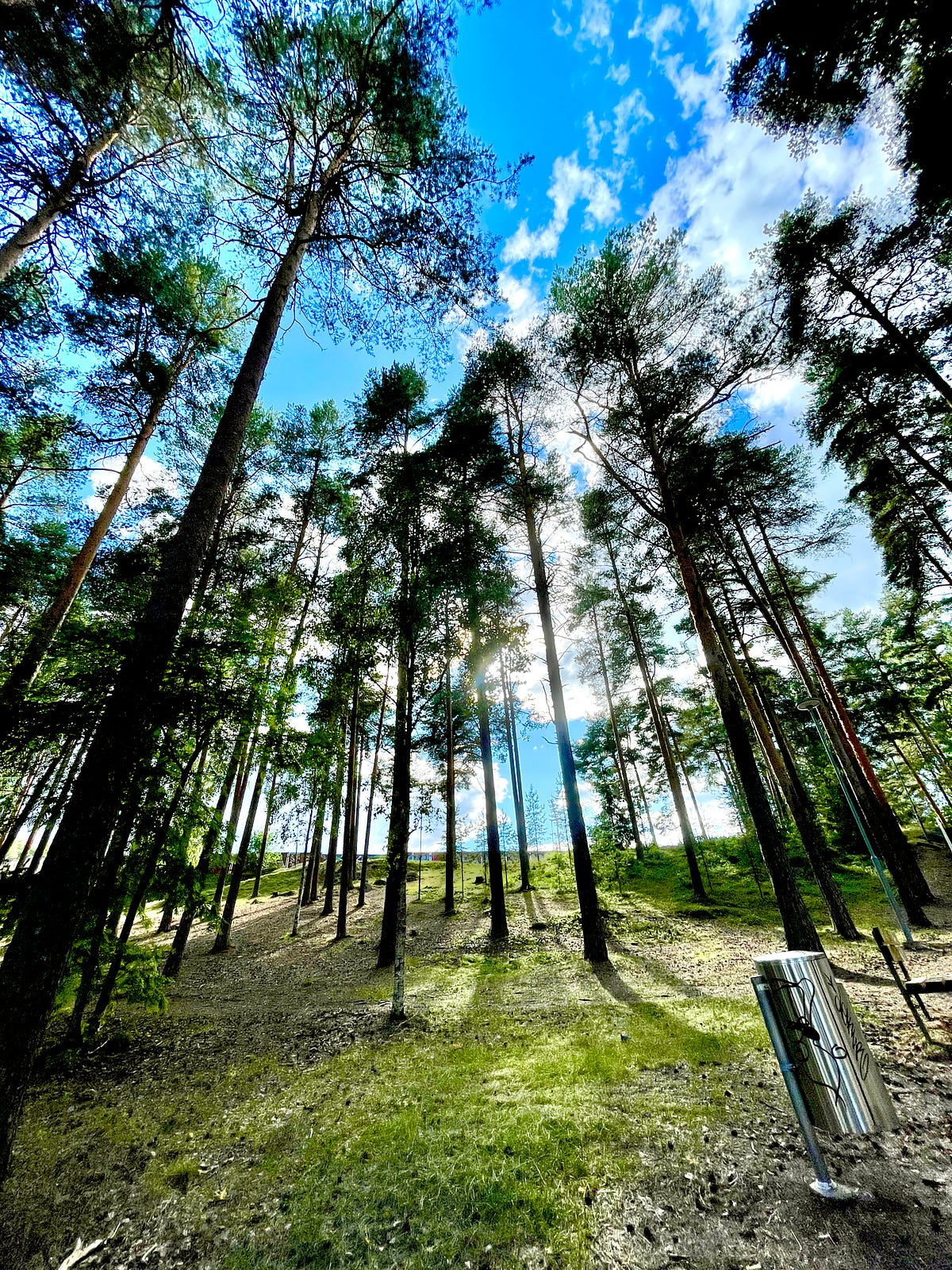 The Enriching Power of Nature. Embracing the Healing and Fulfillment ...