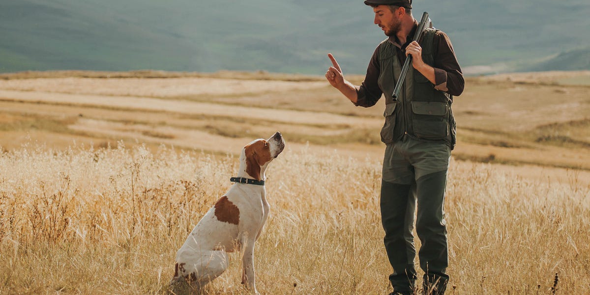 Everything You Need to Know About Dog Behavior Training Classes | by ...