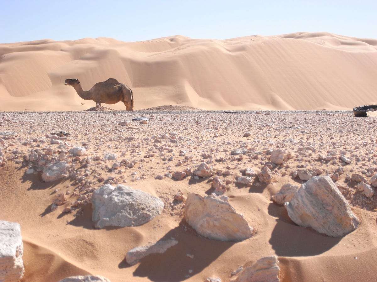 The most beautiful desert landscapes in Africa | by The Extreme Wild ...