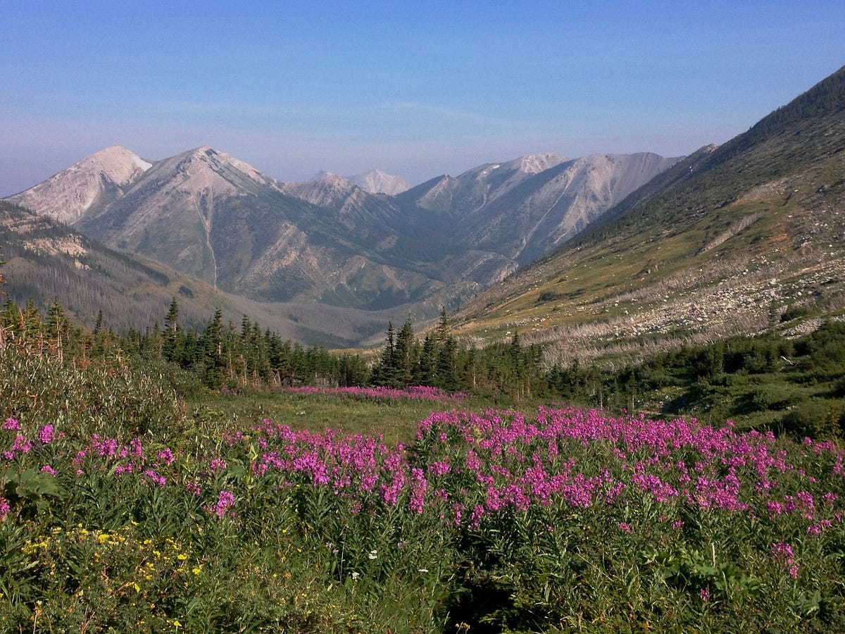 “Wilderness Reminds Us that We’re Small” | by National Wildlife ...