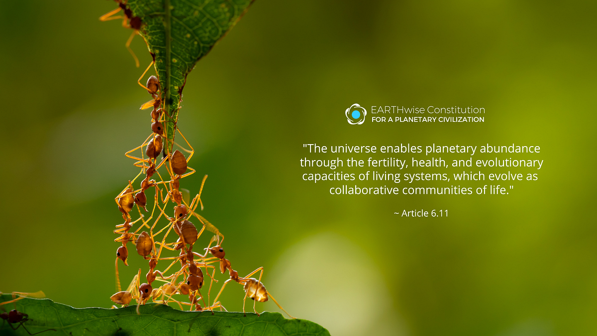 Living Systems and the Call for Civilizational Transformation | by ...