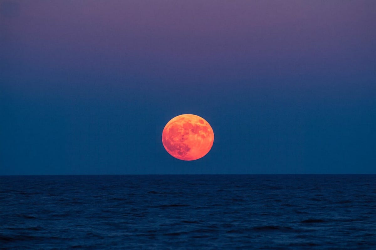 I Remain The Sea, Even If The Moon Never Descends | by uninspiring ...