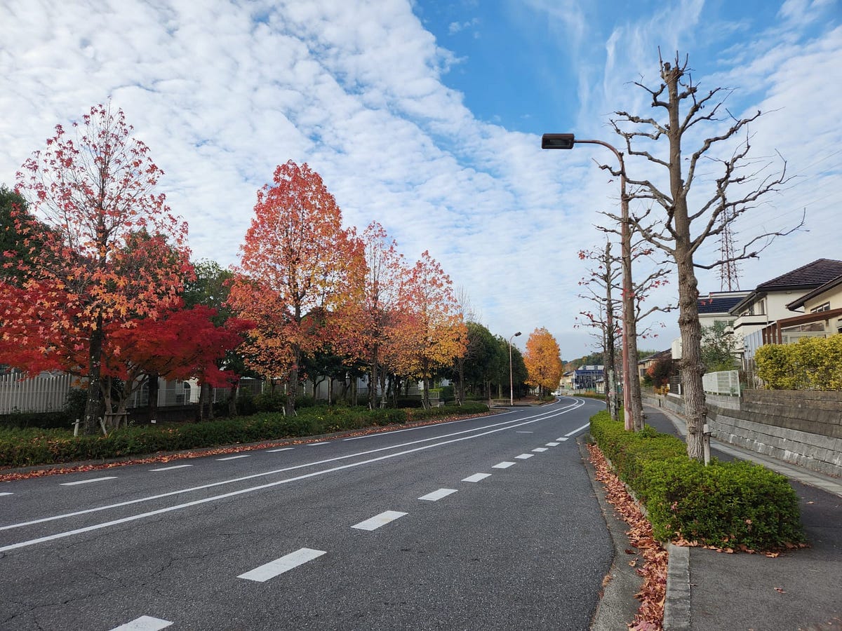 Why autumn is my favourite seasons | by Dewa | Nov, 2024 | Medium
