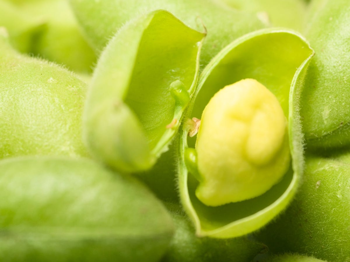 Healthy Garbanzo Bean Recipes. Wholesome Delights | by Qaiser Khan | Pen Tribe | Feb, 2024 | Medium