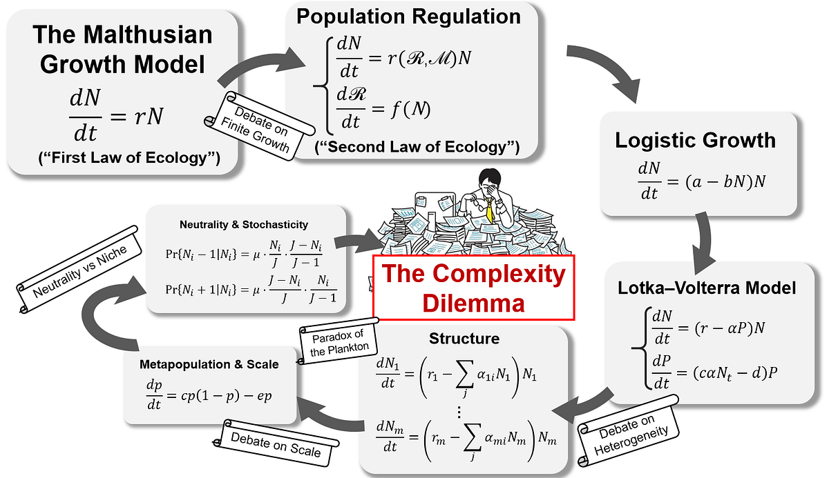 The Concept of “The Complexity Dilemma” in Ecology | by Haoran Wu | Medium