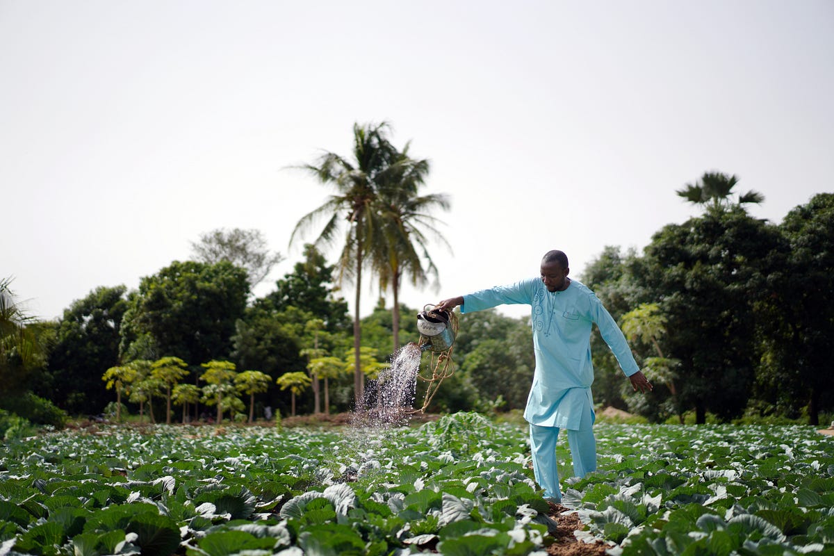 Using Insurance and Climate-Smart Technologies to Help Farmers Cope ...