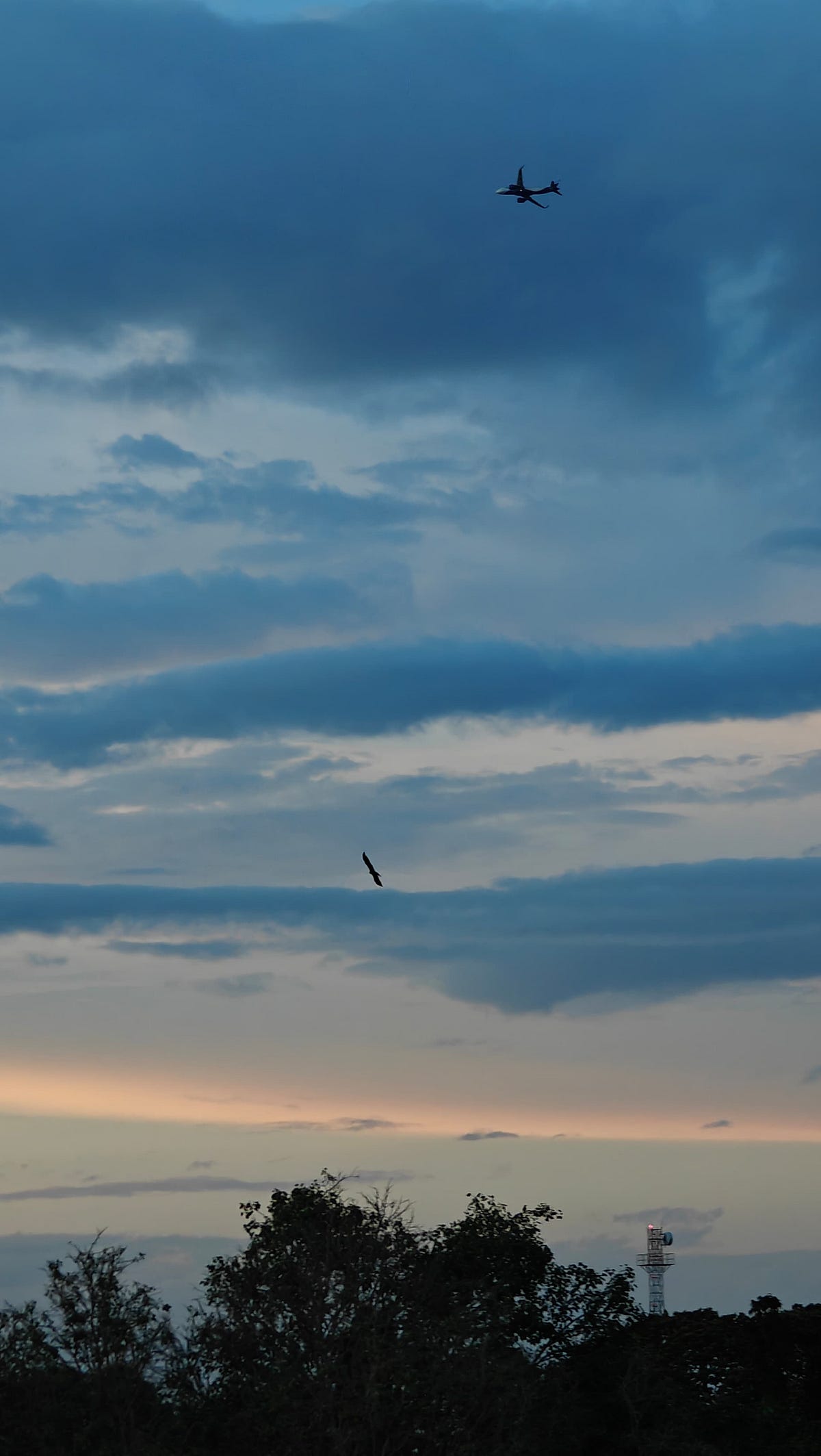 Finding Your Own Path: A Journey Through Mastery | by Hetal Sonpal | Jun, 2025 | Medium