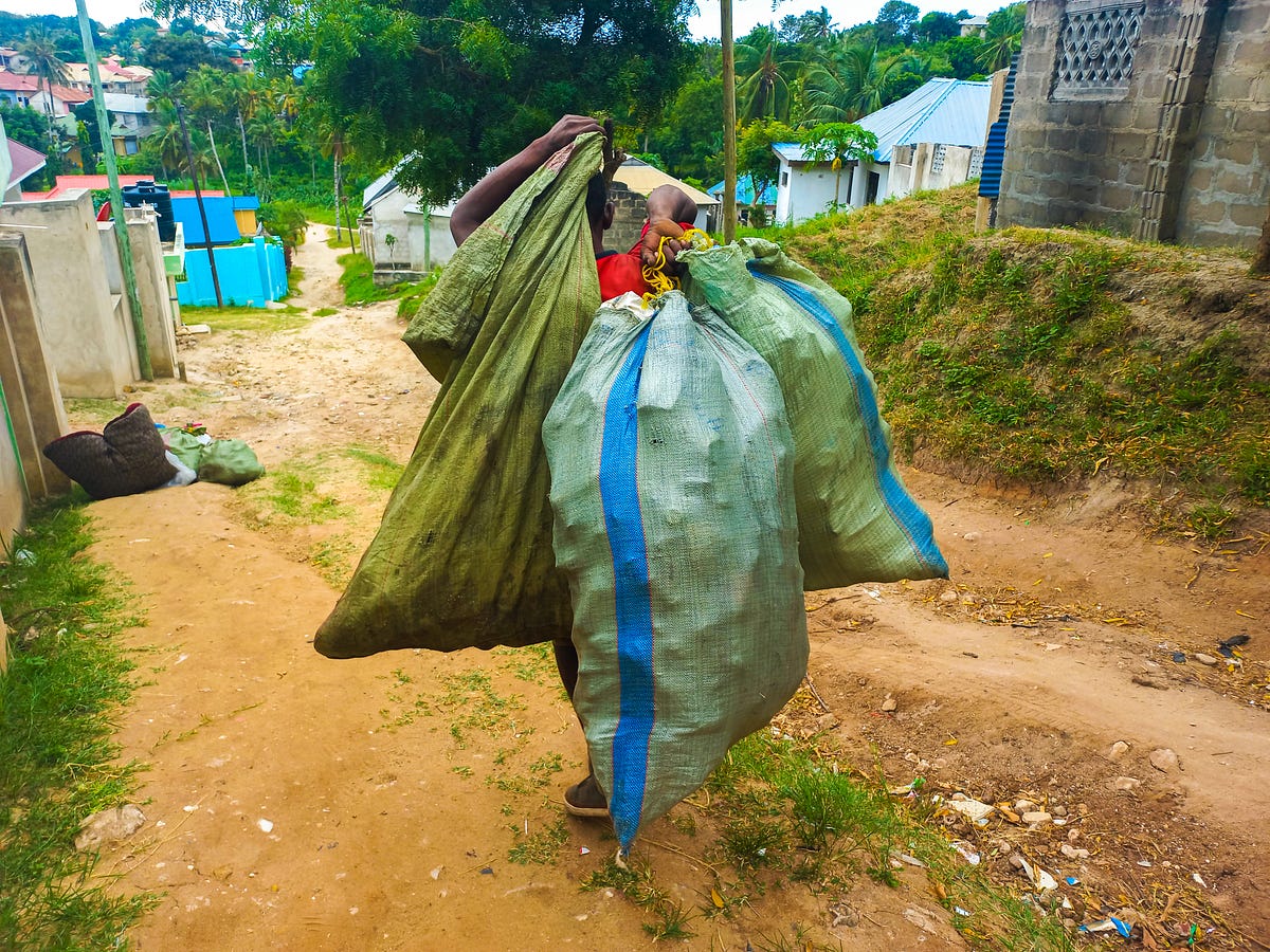 Plastic Waste Pickers: The Shunned and Scorned Environmental Warriors ...
