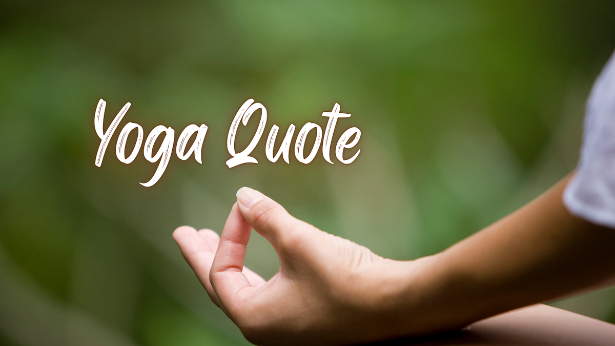 Yoga Quote: Inspiring Words to Elevate Your Practice | by jahid muazzam ...
