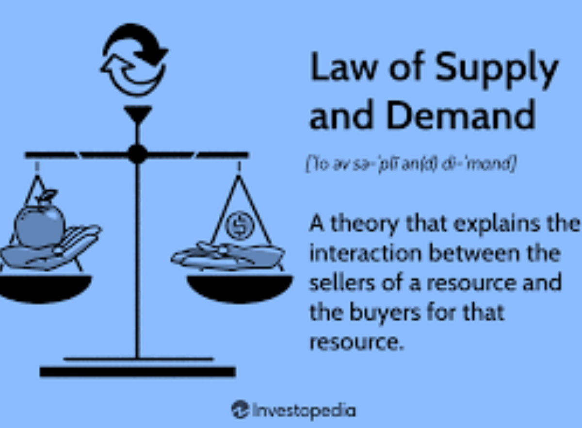 Economics Explained: Supply and Demand | by Willow Roush | Medium