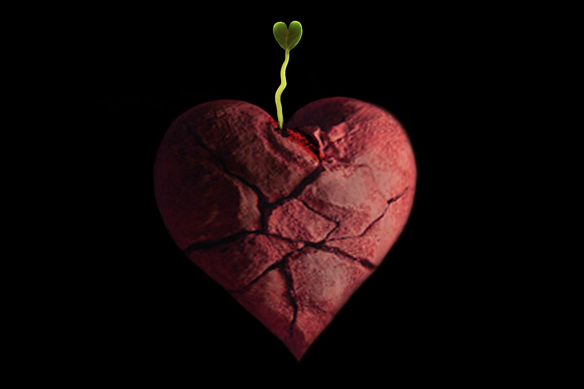 Valentine’s Day for the Romantically Disgruntled | by Hedia Anvar | P.S ...
