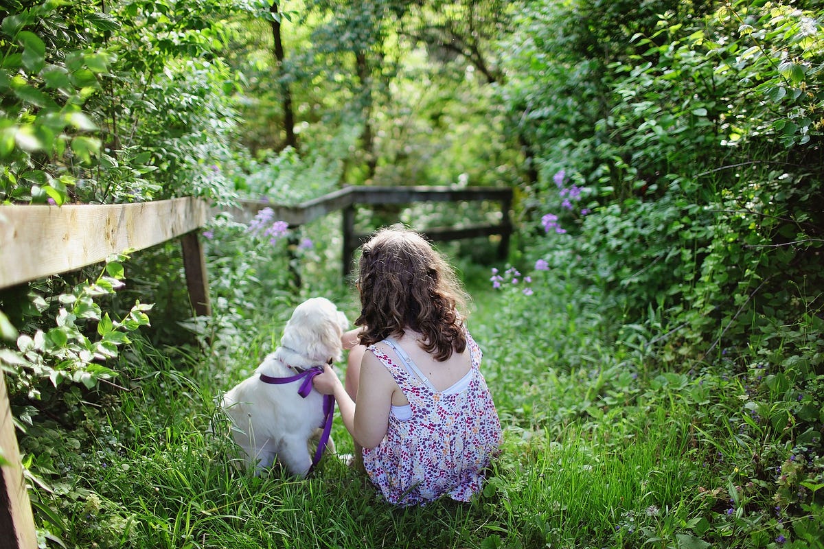 Pet Five important things to consider before getting a pet | by Dr ...