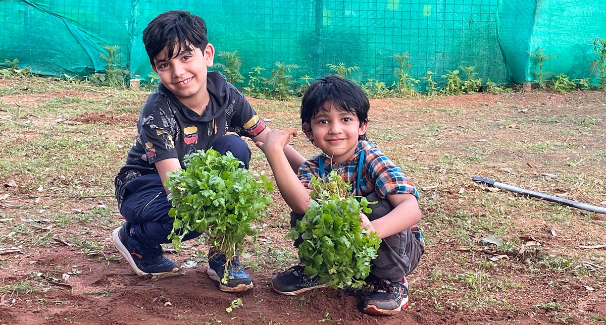 Is Organic Food Better For Humans? | by Arogaa Organic Living | Medium