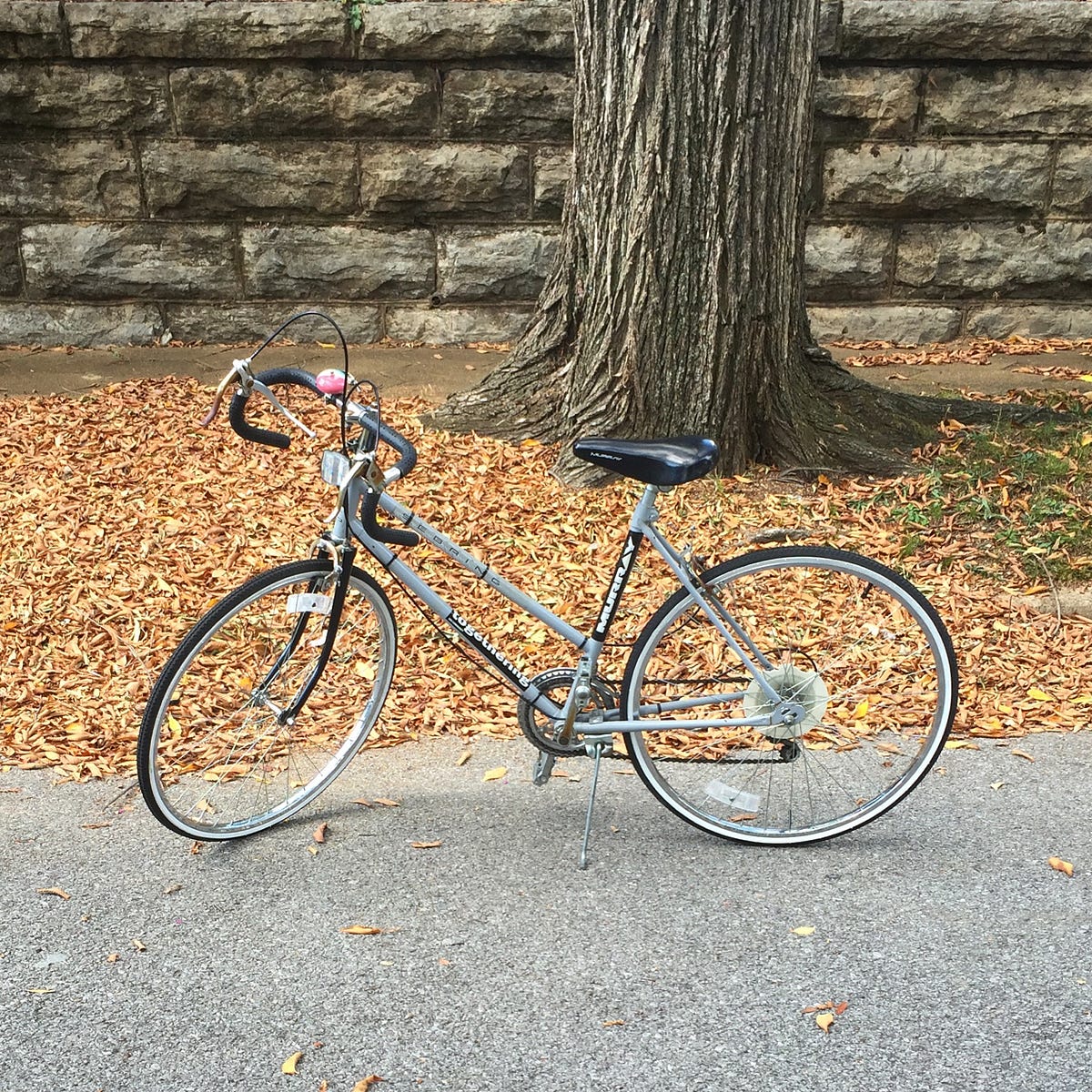 Recipe for Grit. (There’s only one ingredient) | by Lindsey Gaff | Perspectives