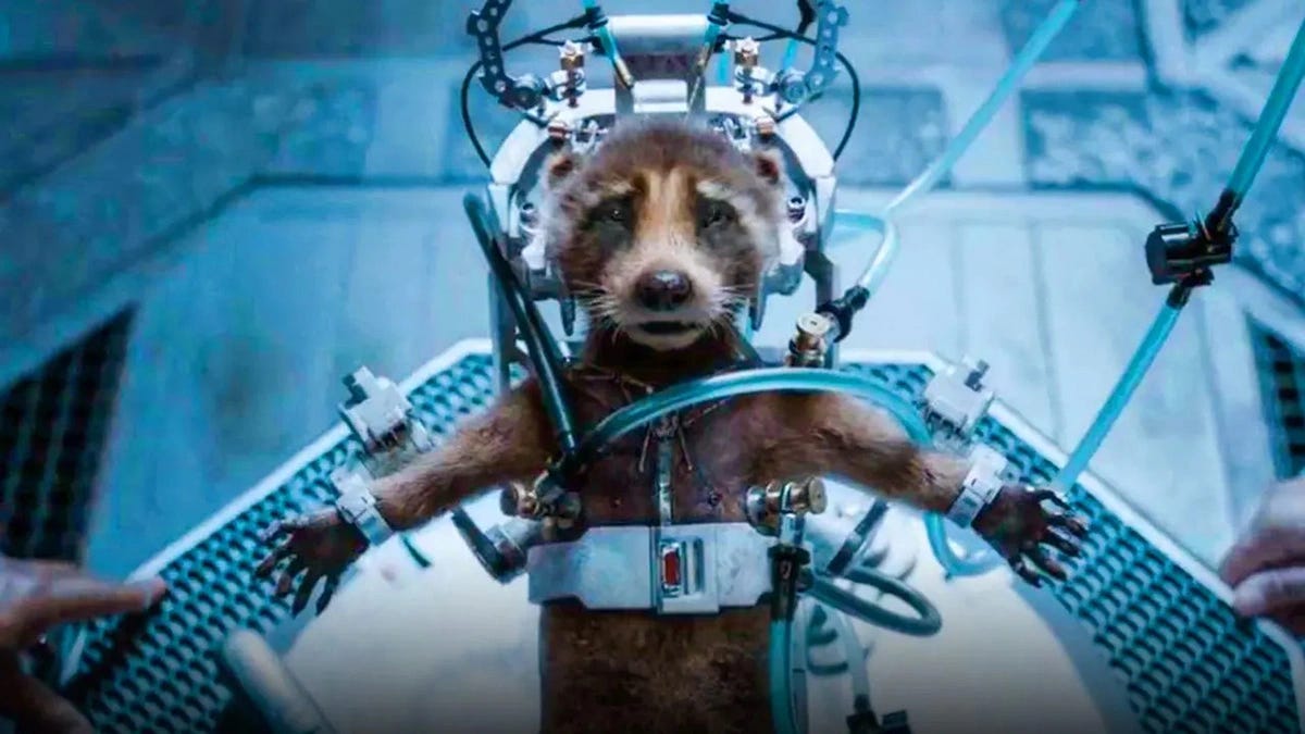 Life Lessons From Guardians Of The Galaxy Vol. 3 You Might Have Missed | by Fariha Fatima | Medium