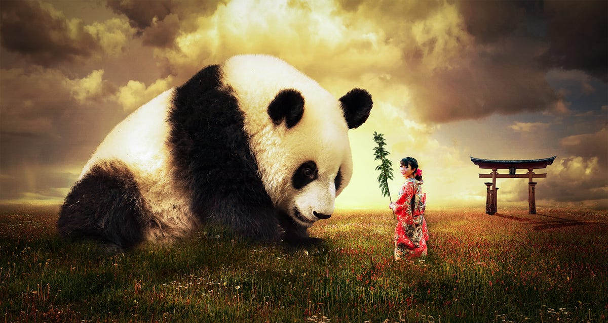 Useful Pandas Functions You Probably Did Not Know By Magdalena Useful Pandas Functions You Probably Did Not Know By Magdalena