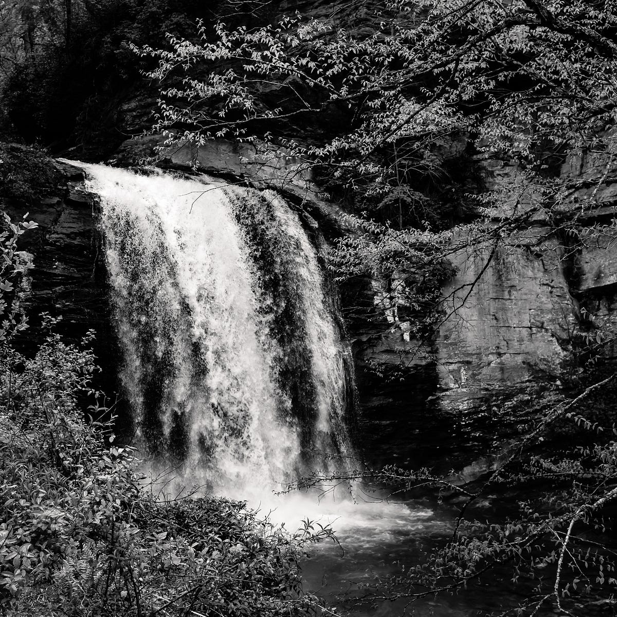 A Walk In The Woods — part 3. Day 3; | by Tim Bindner | Medium