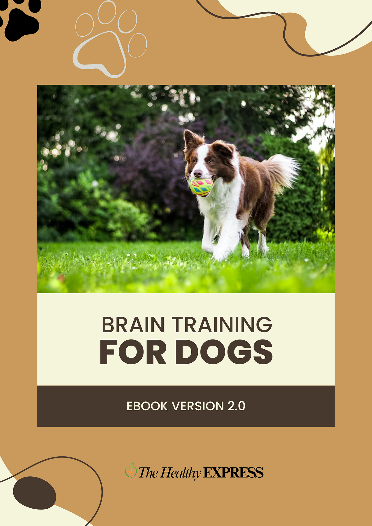 Download the Ultimate Brain Training for Dogs Free PDF | by Ujwal Kumar ...