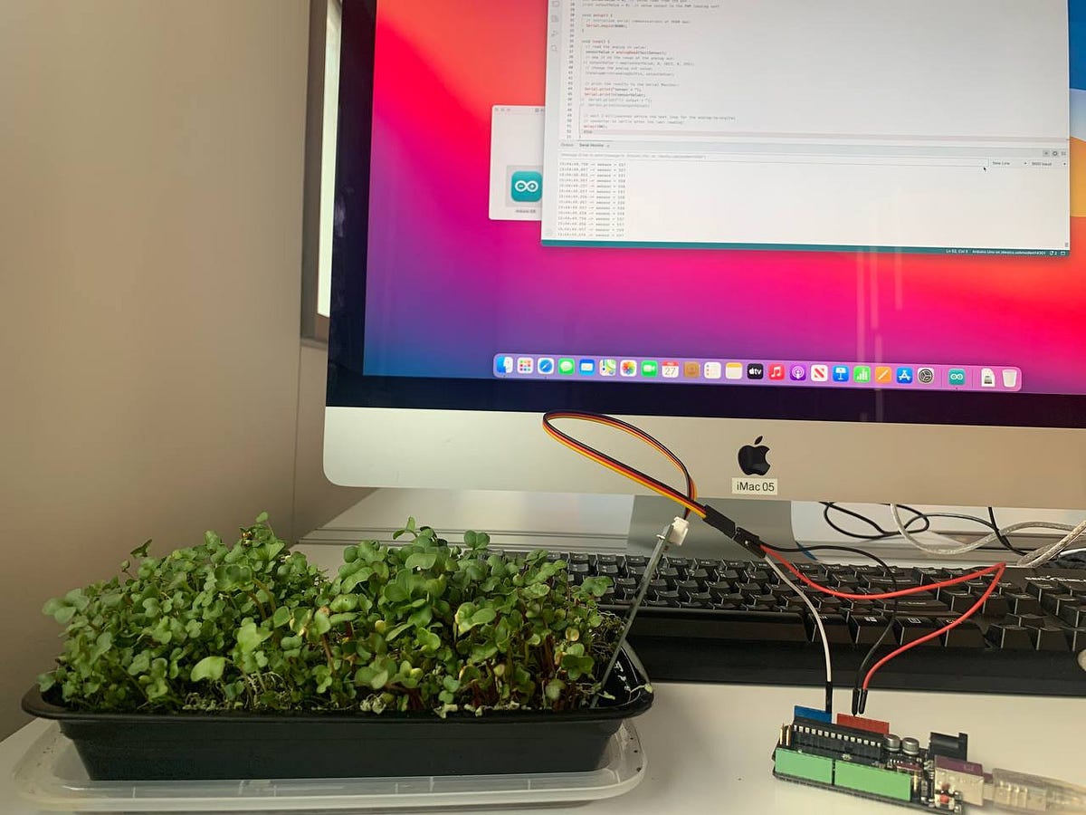 Some fun with Arduino!. The last time I touched an Arduino was… | by ...