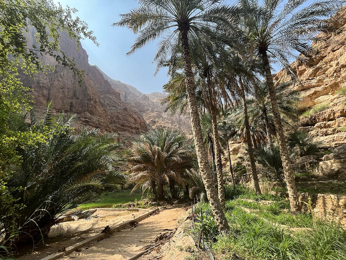 An Omani Gift. The first two steps would be easy, but… | by Tim Tendick ...