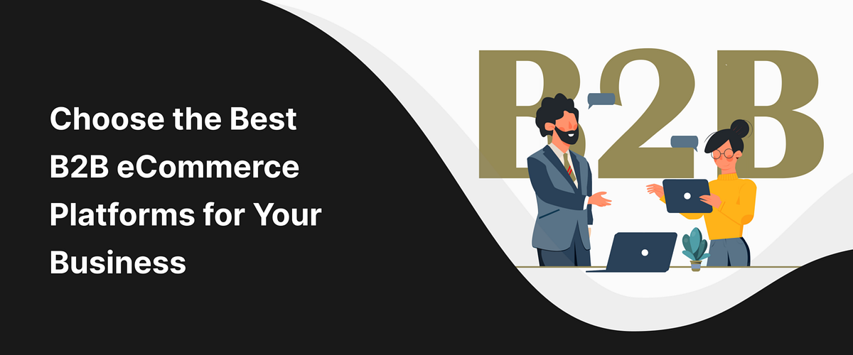 Choose the Best B2B ECommerce Platforms For Your Business | by ...