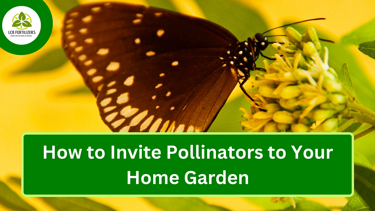 How to Invite Pollinators to Your Home Garden | by LCB Fertilizers ...
