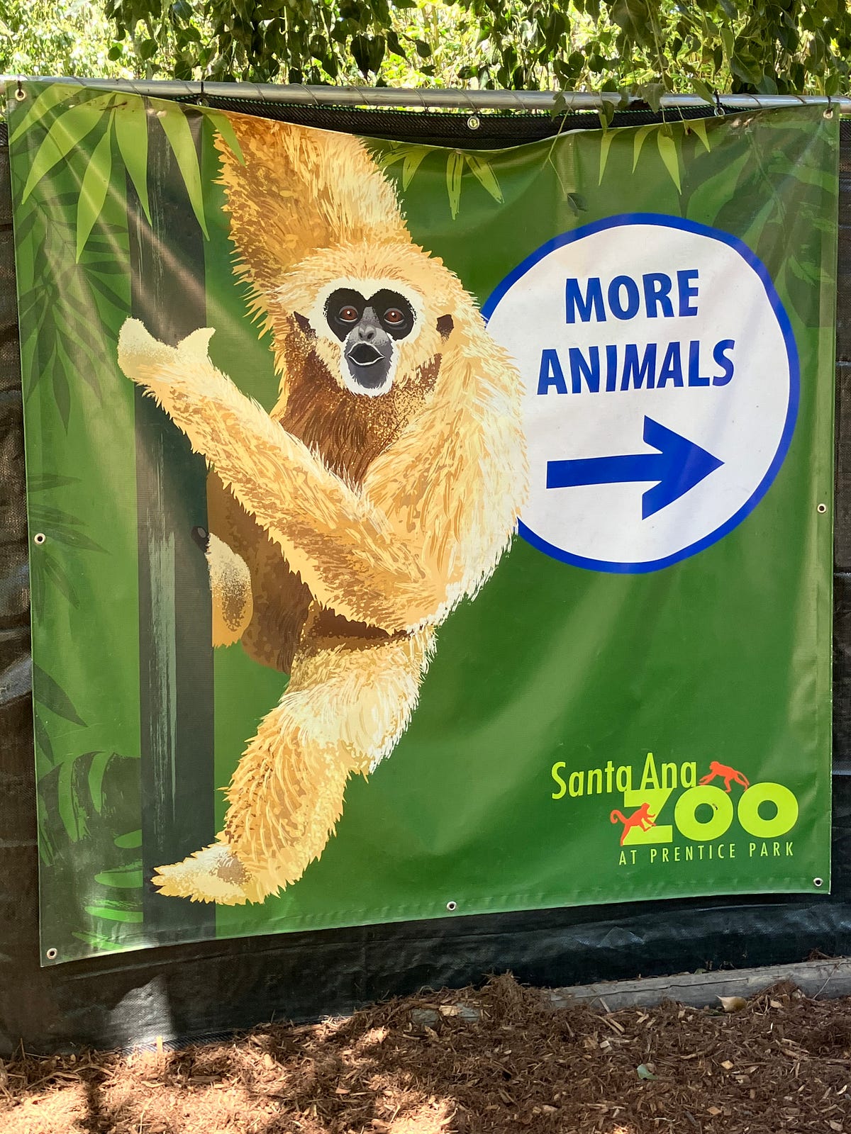 Our Santa Ana Zoo Adventure. Tourist in my own country | by Lu Skerdoo ...
