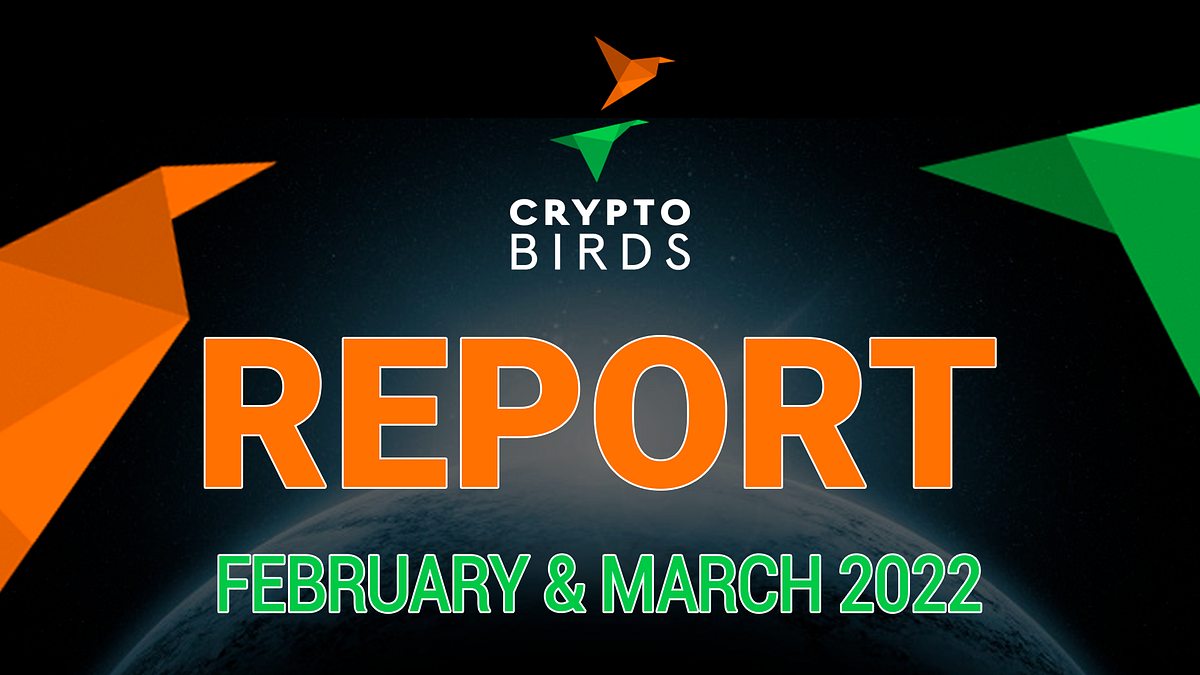 Crypto Birds Reporte Febrero-Marzo 2022 | by Crypto Birds Español | Medium