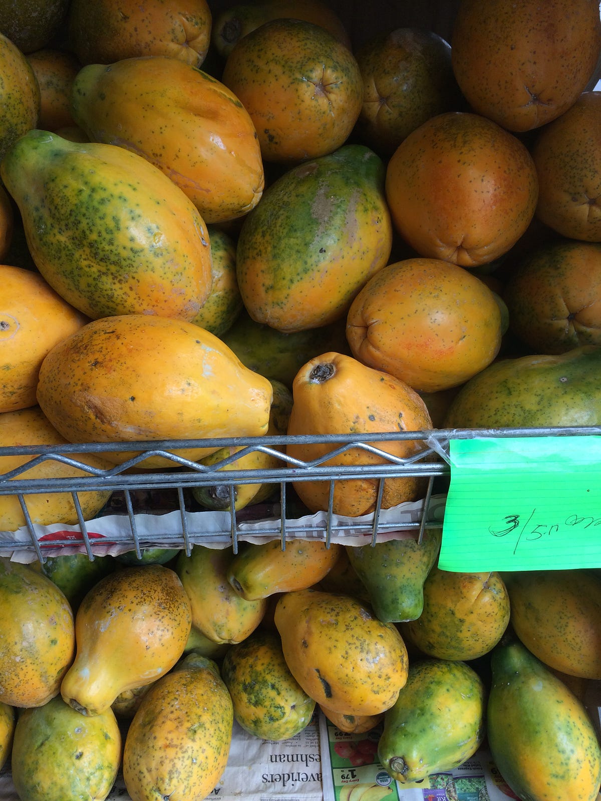 Avocados & Design Thinking: A Short List | by Francie Van Wirkus LLC ...