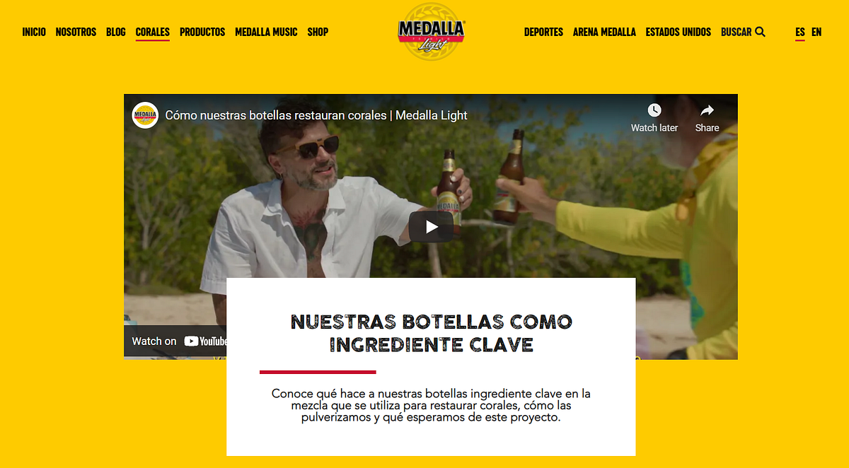Medalla, Capó y Schaefer: una estrategia de Influencer Marketing | by ...
