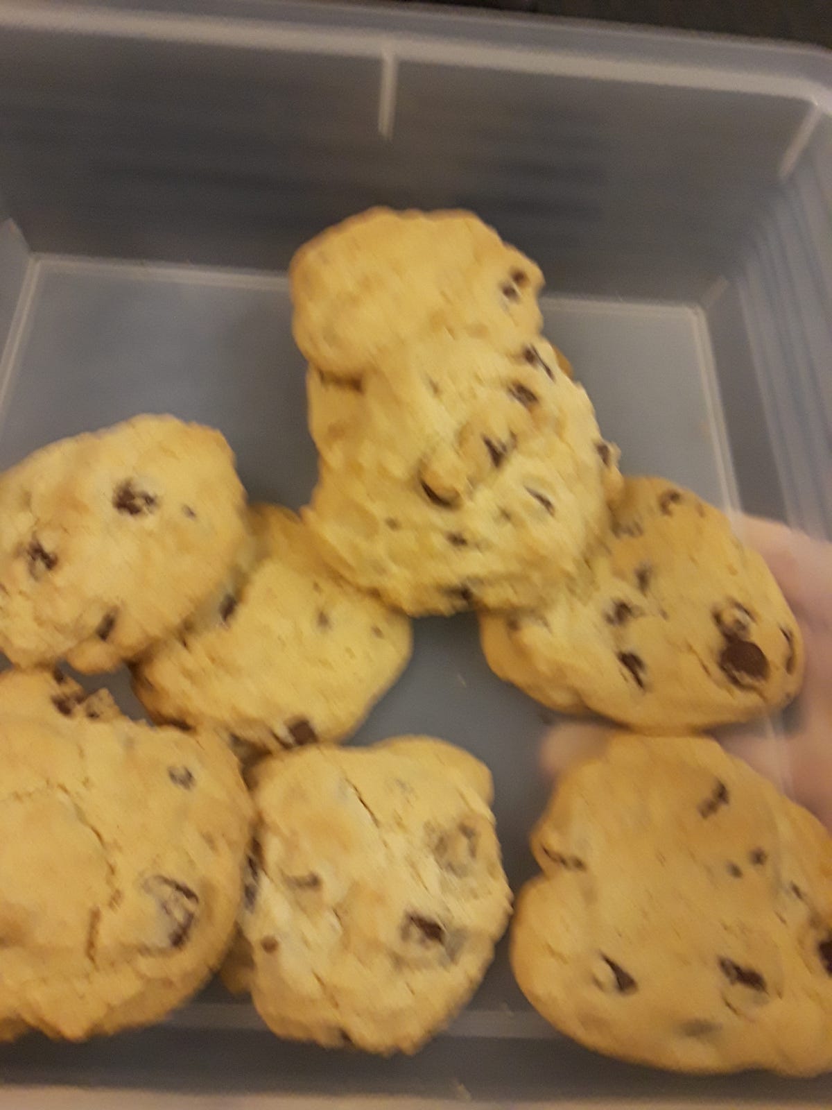 Maker Project — Evan Duda. I have never been a baker. The closest… | by ...