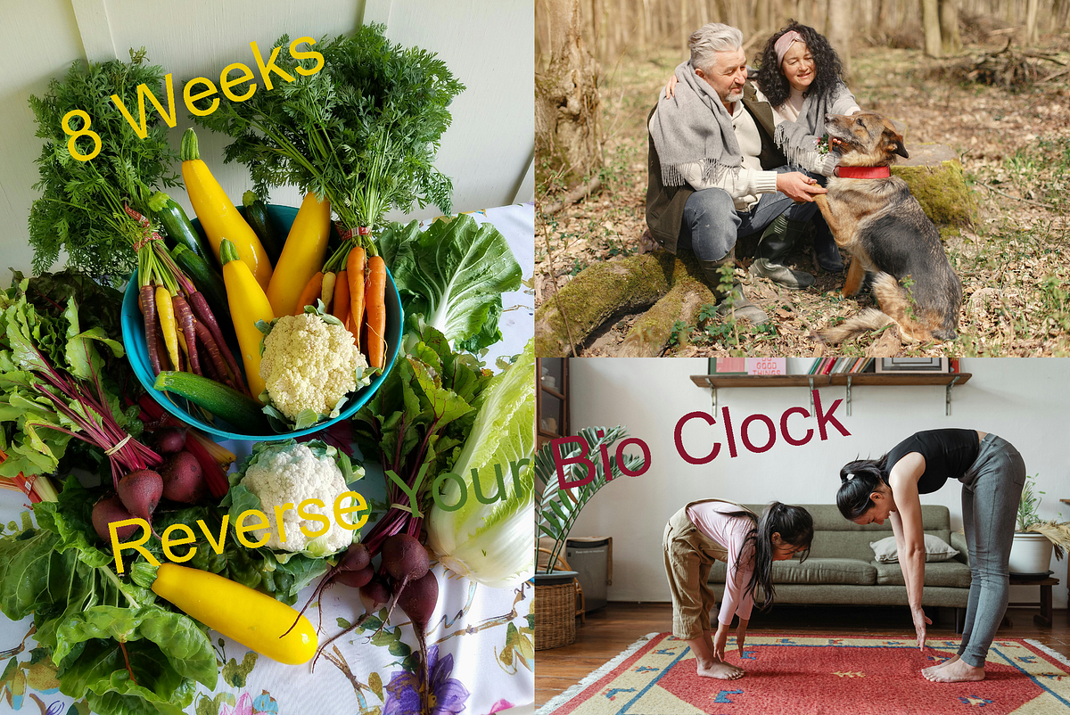 Review: ‘Younger You’ by Dr. Kara Fitzgerald (Take Years Off Your Bio Age in 8 Weeks Through ...