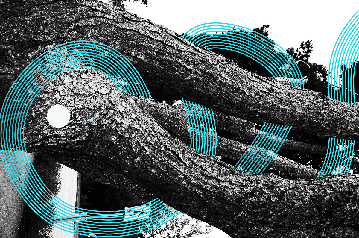 Principles in Practice. How SWARM emerged by letting the work… | by ...