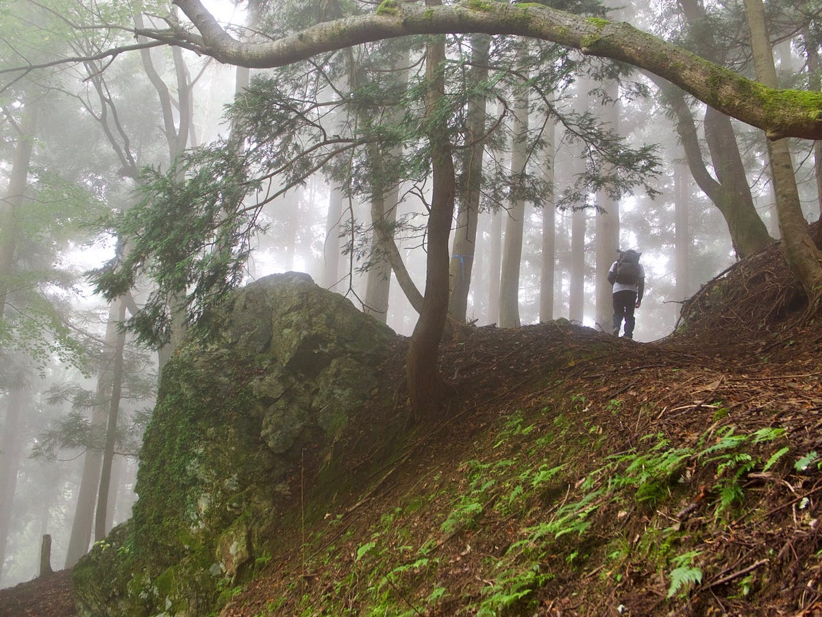 Walking the Saba Kaido. In September of 2021 I walked the… | by Joshua ...