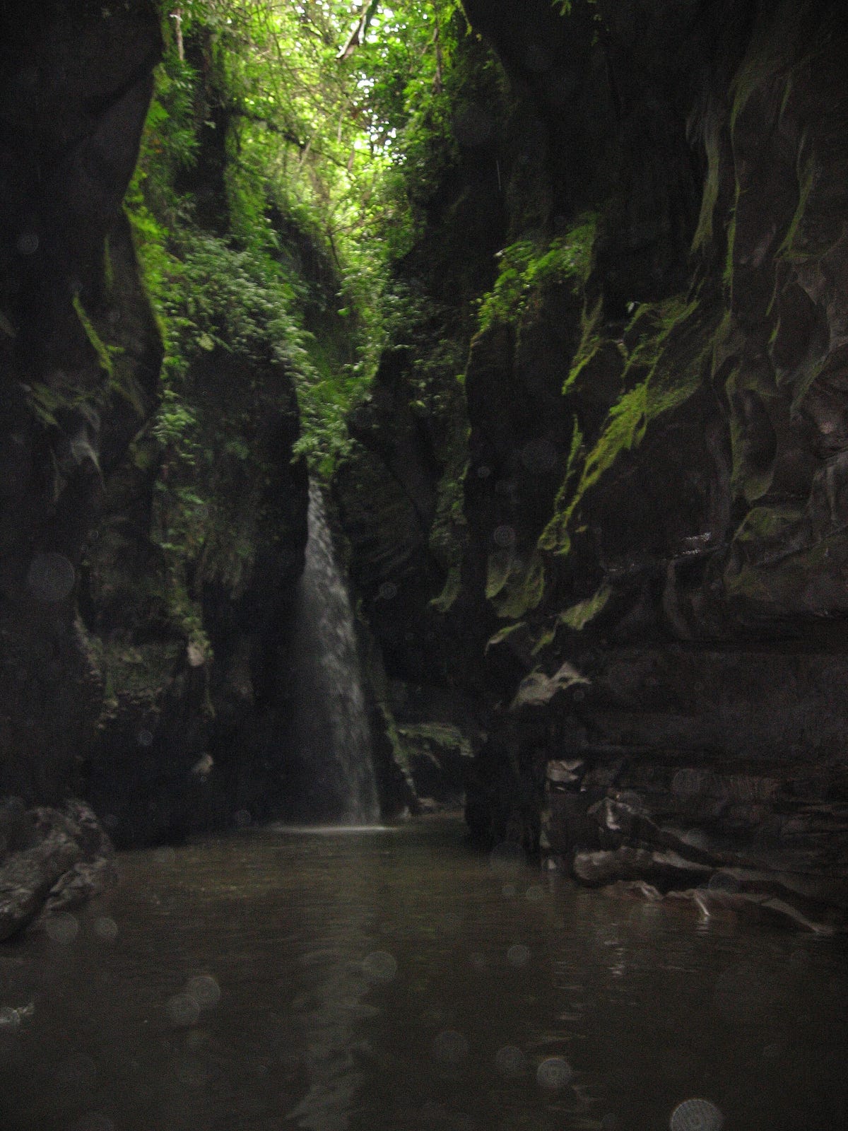 Life is a River — Go with the Flow! | by Gary Johnstone | Medium