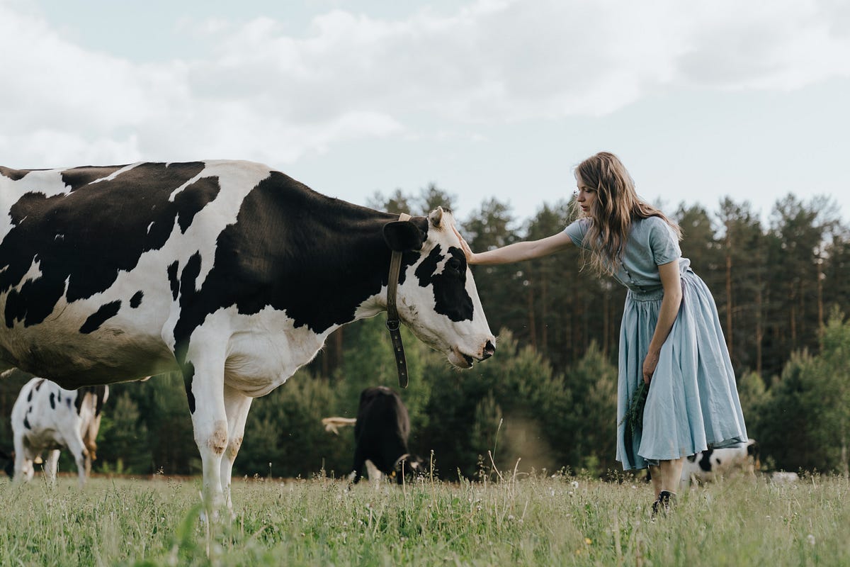 There’s No Such Thing As A ‘Pushy Vegan’ | by LiaL | Medium