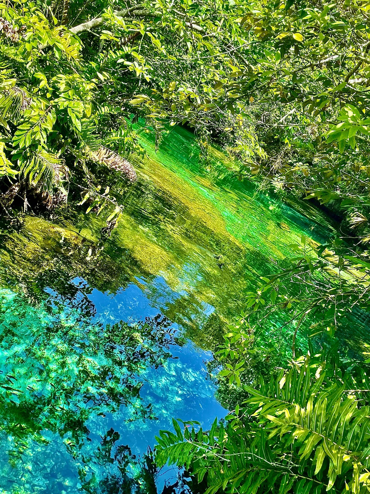 Only Happy Times: Reclaiming Joy, Adrenaline, and the Soul’s Deepest ...