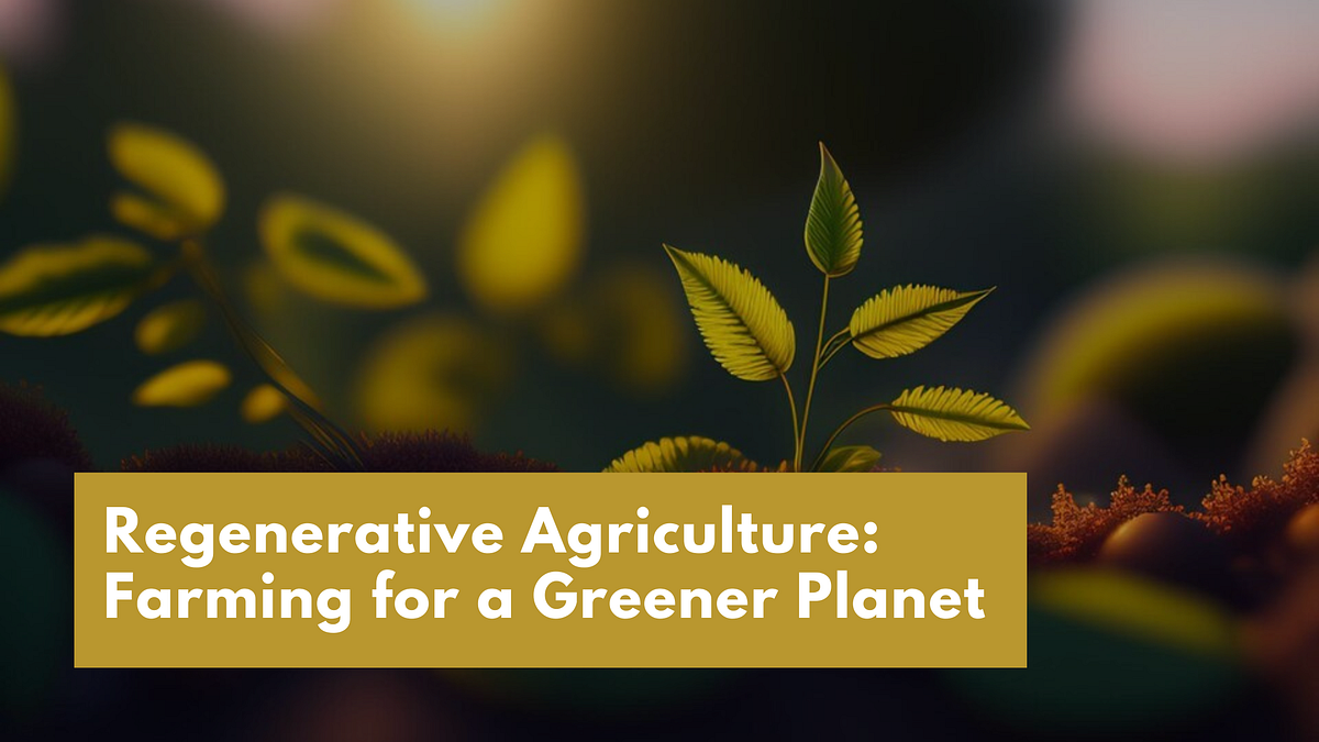 Regenerative Agriculture: Farming for a Greener Planet | by Niche ...